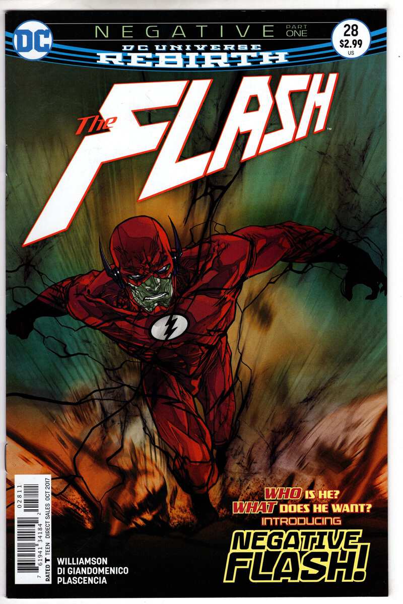 what does the flash represent