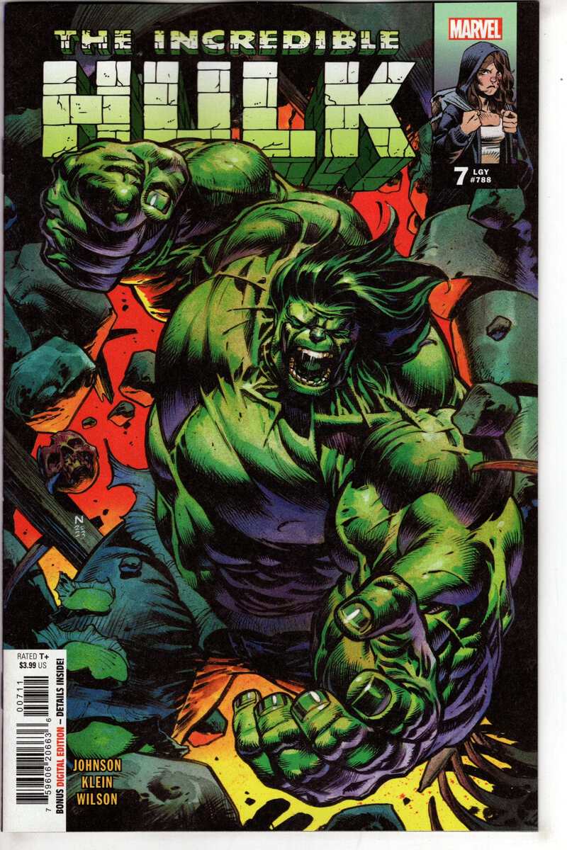 what does the hulk represent