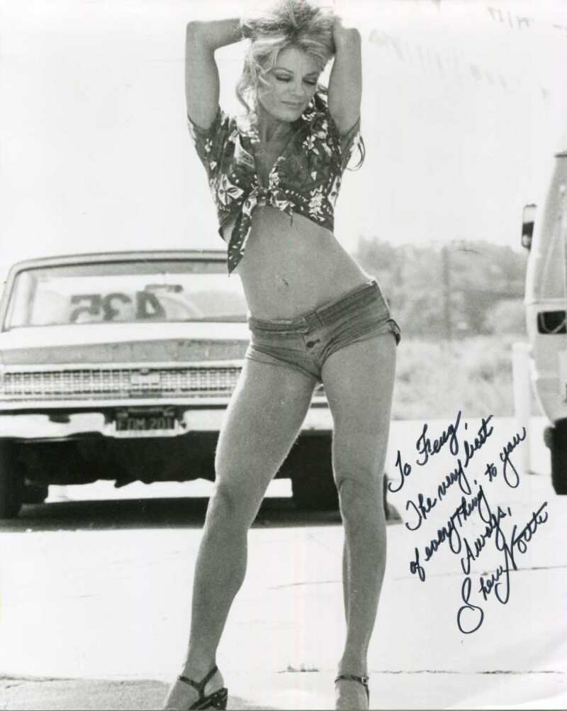 sheree north