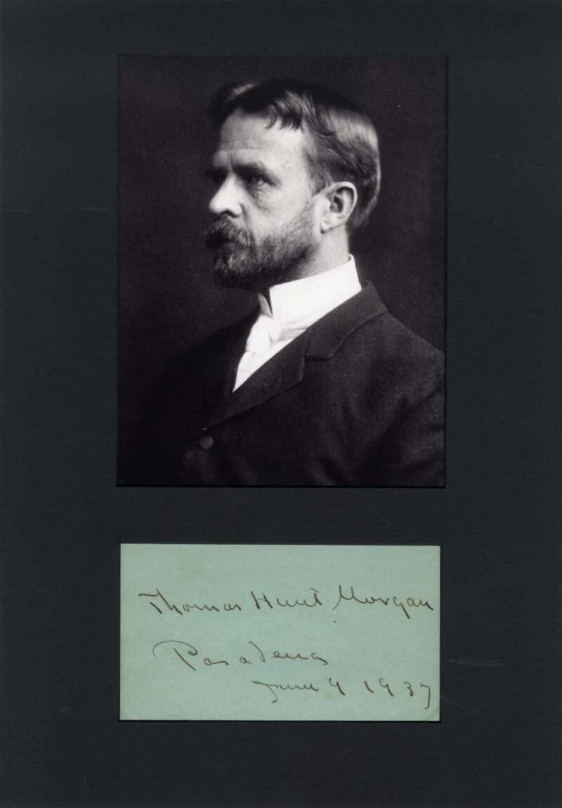 thomas hunt morgan