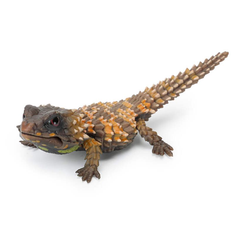 pet armadillo lizard