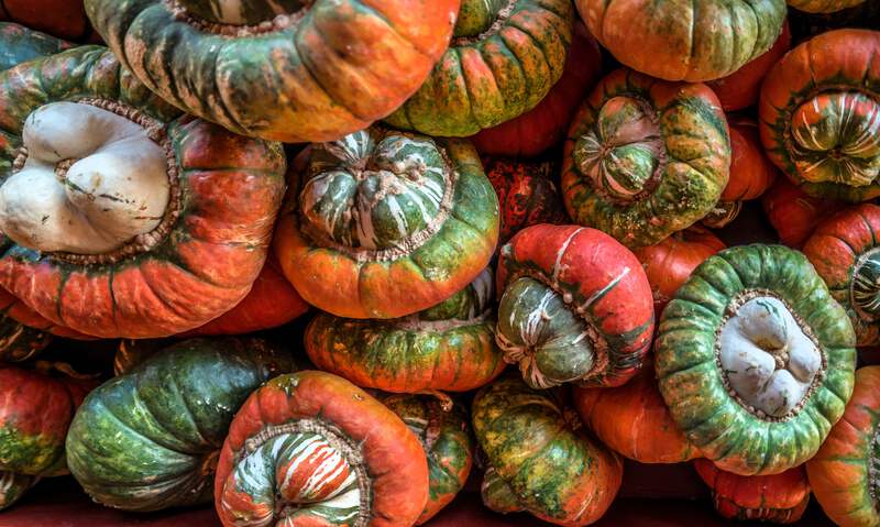 turban squash seeds