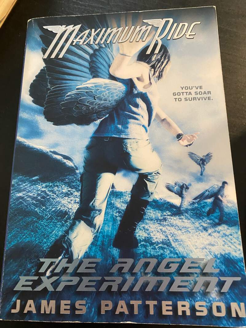 maximum ride experiment engel