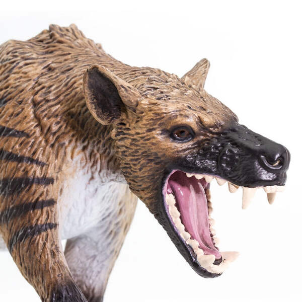 hyaenodon gigas